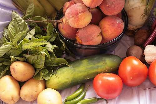 Cucumber Labeled Image Dataset | images.cv