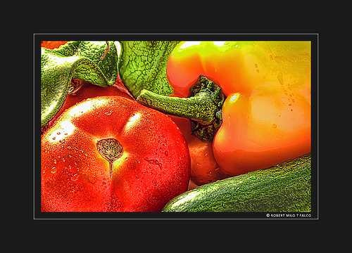 Cucumber Labeled Image Dataset | images.cv