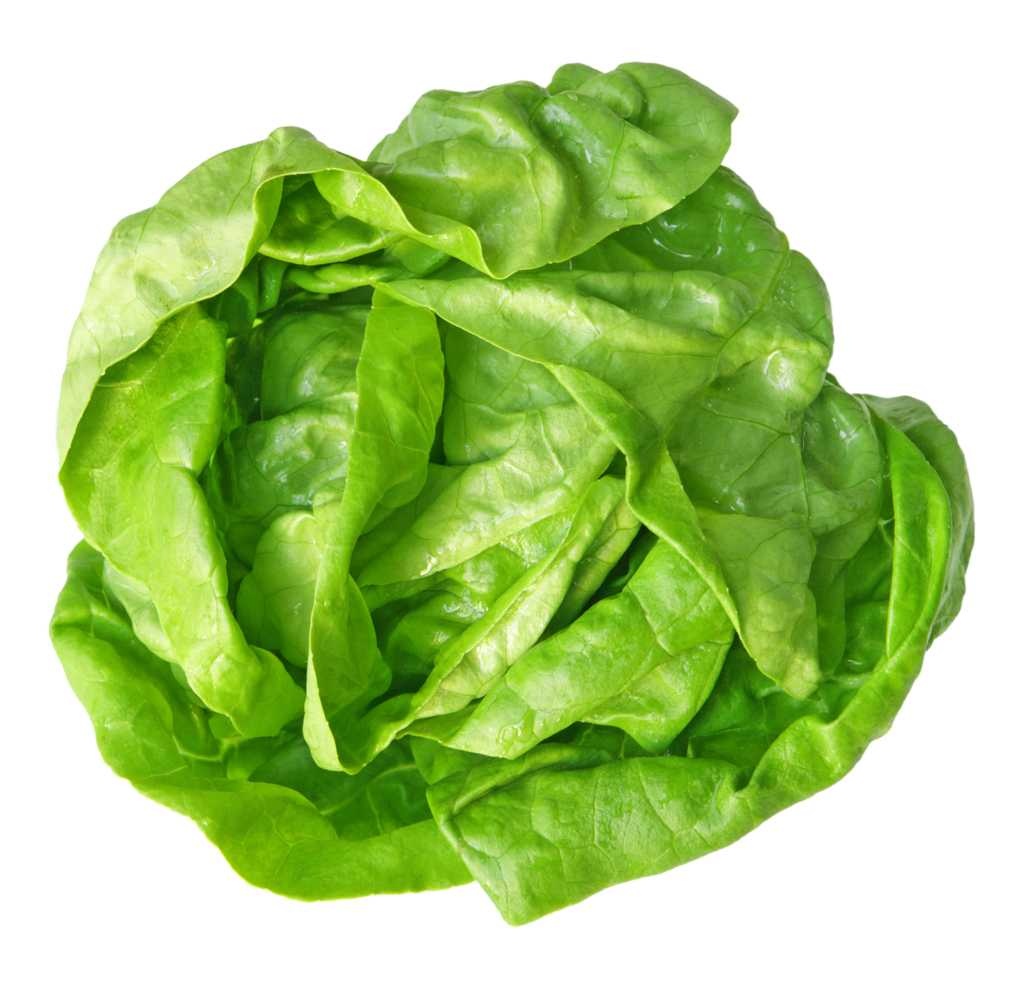 Lettuce Labeled Image Dataset | images.cv