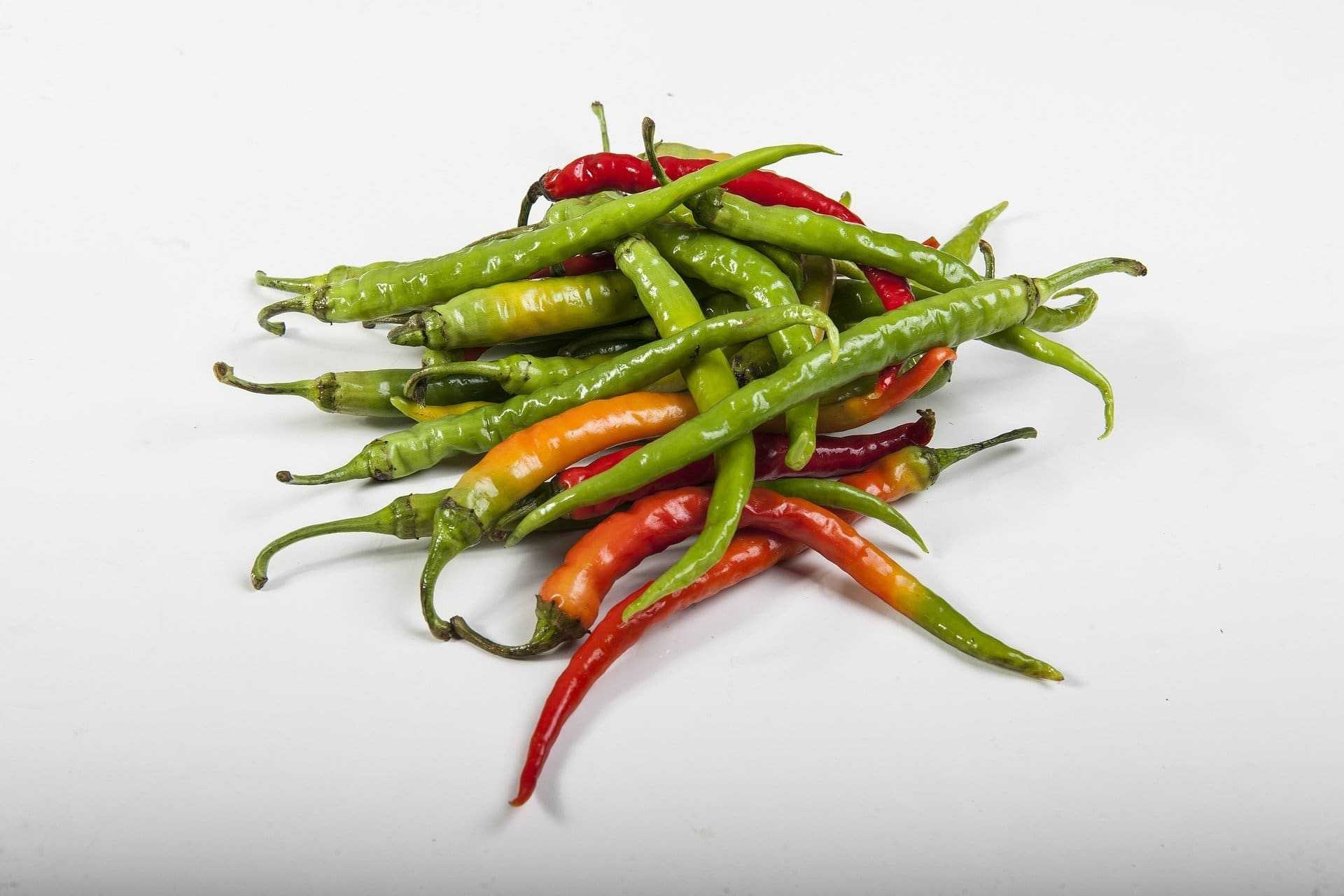 Chilli Labeled Image Dataset | images.cv