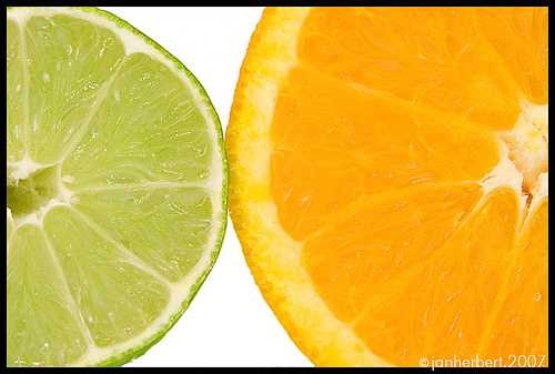 Orange Labeled Image Dataset | images.cv