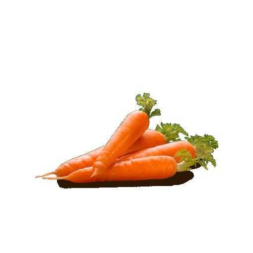 Carrot Labeled Image Dataset | images.cv