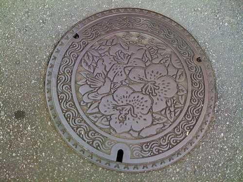 Manhole cover Labeled Image Dataset | images.cv