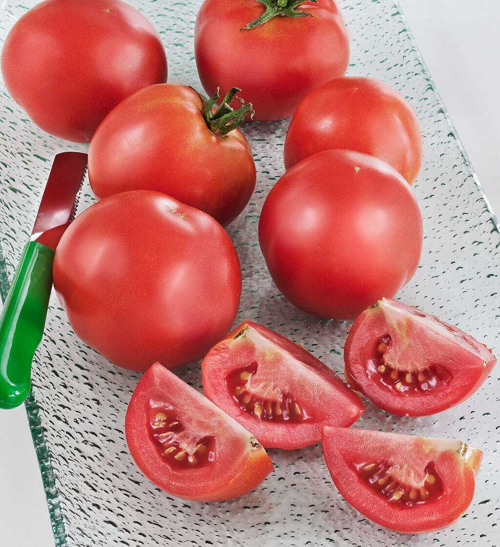 Tomato Labeled Image Dataset | images.cv
