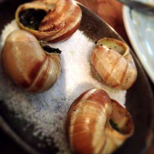 Download Food labeled image classifcation dataset labeled image dataset