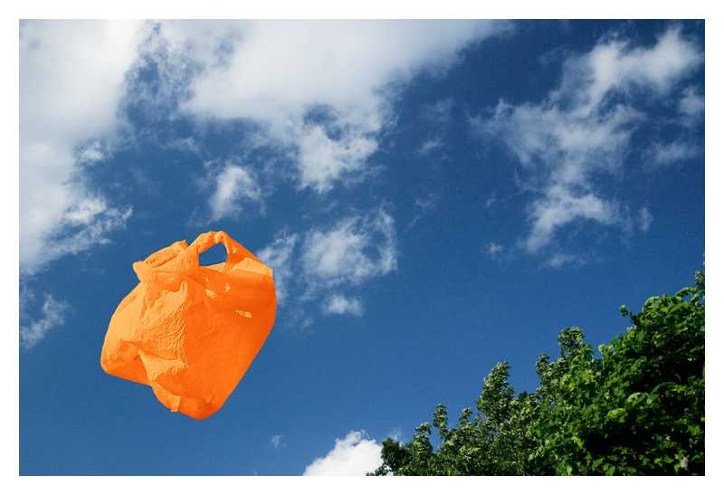 Plastic bag Labeled Image Dataset | images.cv