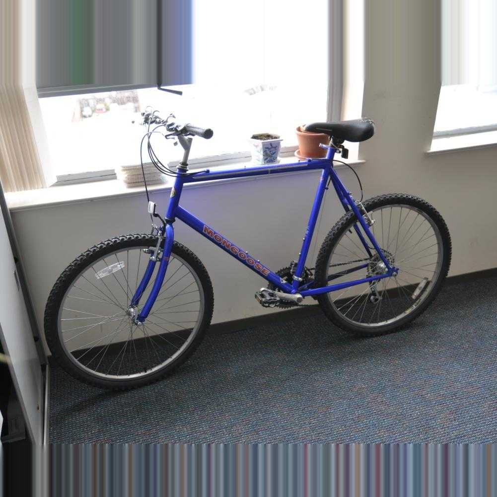 Bike Labeled Image Dataset Images Cv