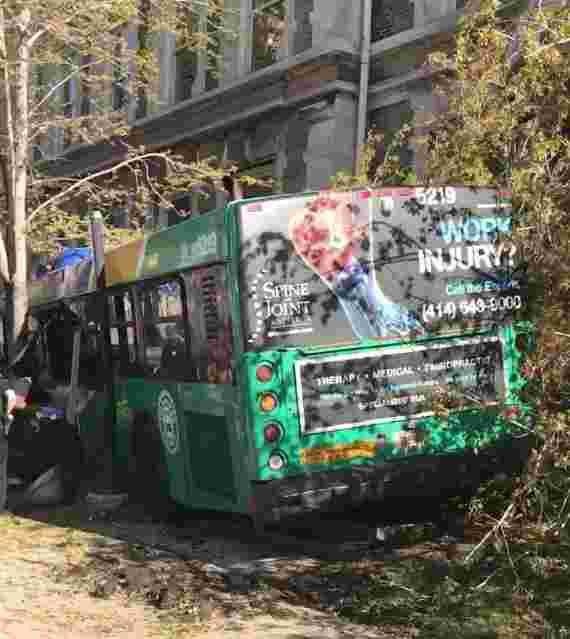 Bus Labeled Image Dataset | images.cv