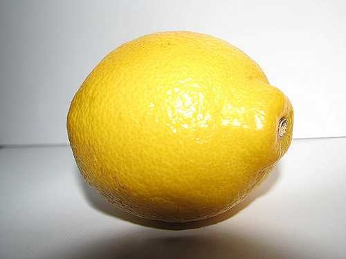 Lemon Labeled Image Dataset | images.cv