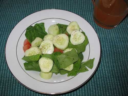 Cucumber Labeled Image Dataset | images.cv