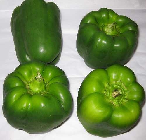Bell pepper labeled image dataset | images.cv