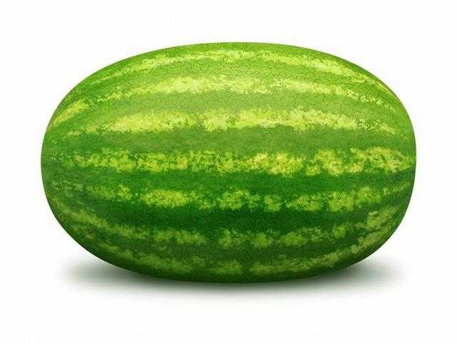 Watermelon Labeled Image Dataset | images.cv