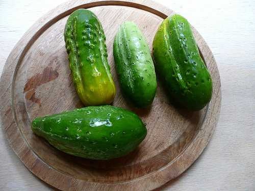 Cucumber Labeled Image Dataset | images.cv