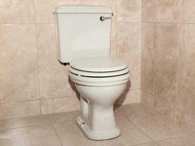 Toilet Labeled Image Dataset | images.cv