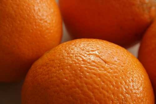 Orange Labeled Image Dataset | images.cv