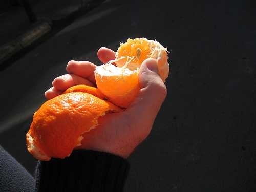 Orange Labeled Image Dataset | images.cv