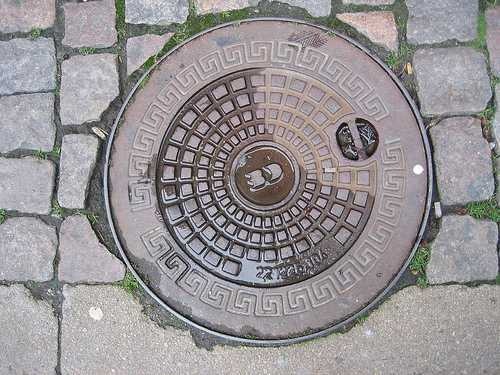 Manhole cover Labeled Image Dataset | images.cv