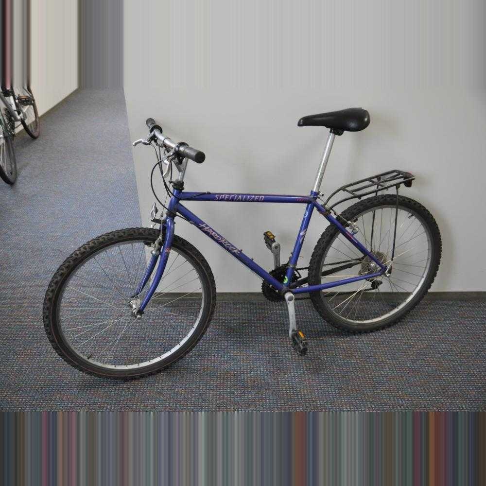 Bike Labeled Image Dataset Images Cv