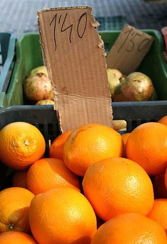 Orange Labeled Image Dataset | images.cv