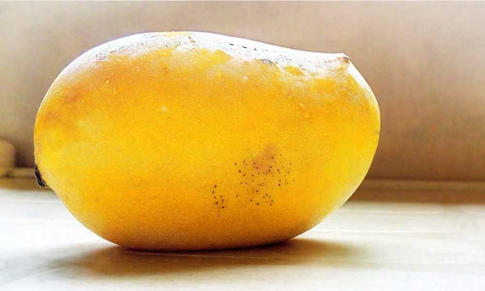 Mango Labeled Image Dataset | images.cv