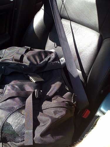Seat Belt Labeled Image Dataset Images Cv