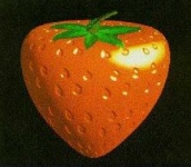 Fruits and vegetables Labeled Image Dataset - Free Download & High ...