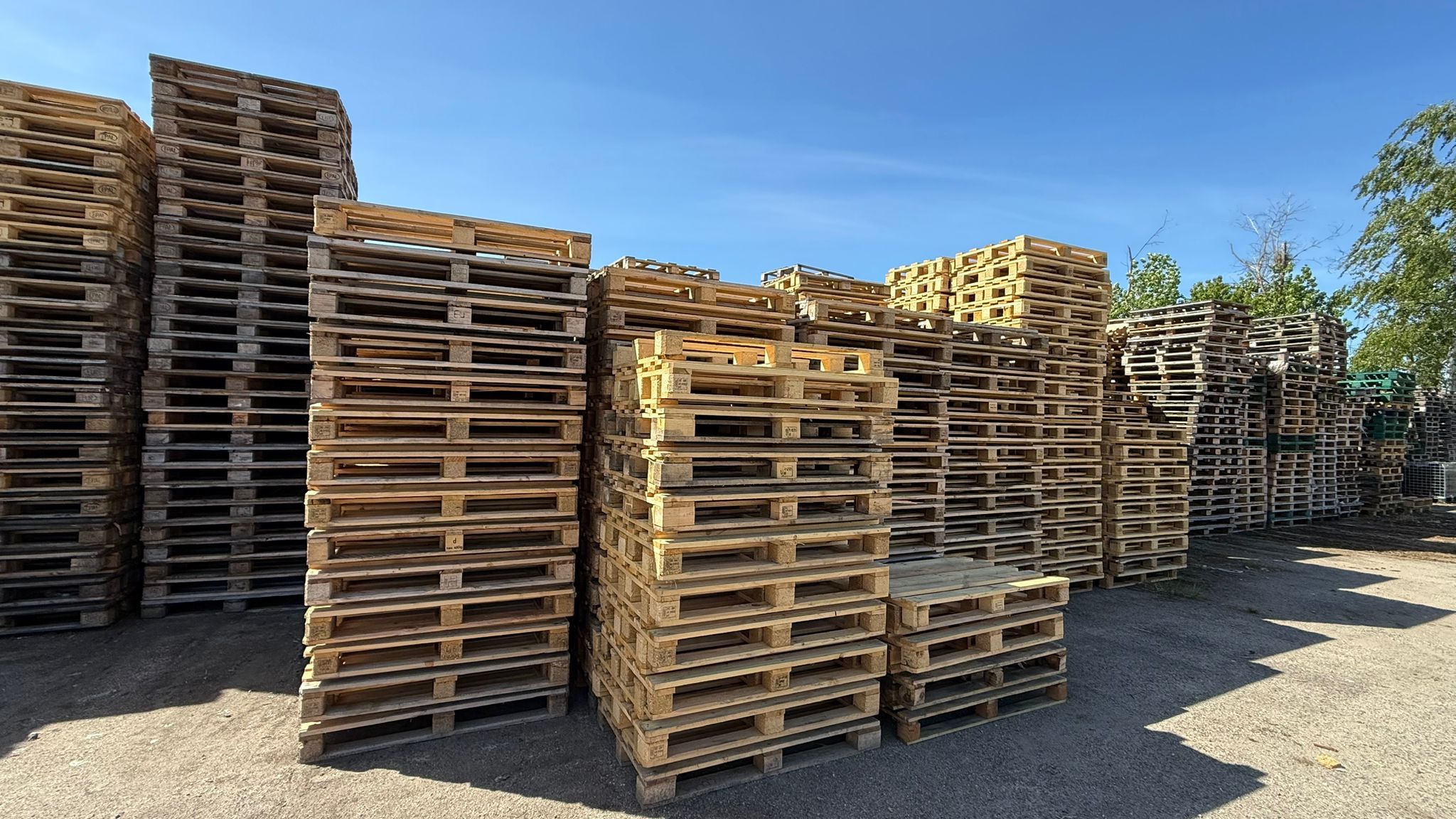 Wooden EUR and non-standard pallets — Cyrkl