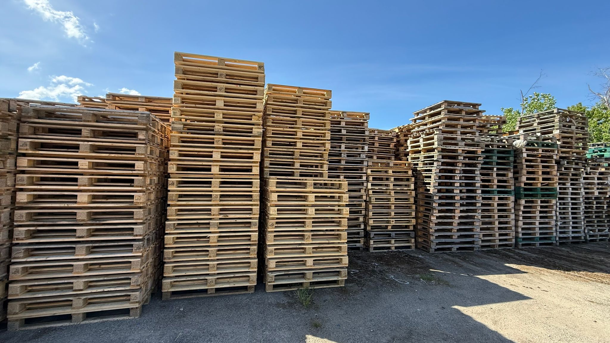 Wooden EUR and non-standard pallets — Cyrkl