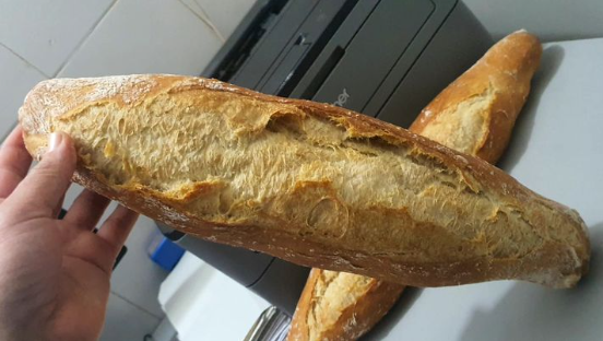 Delicioso Pan Rústico - HDO Bakery