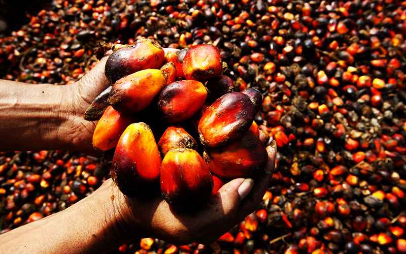 Ini Keuntungan Munculnya PMK 22/2019 Versi DJBC