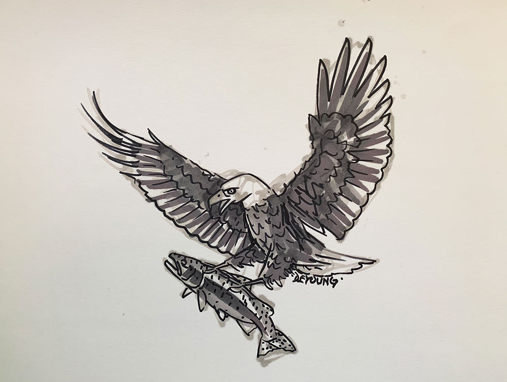 EagleWEB | Derek DeYoung