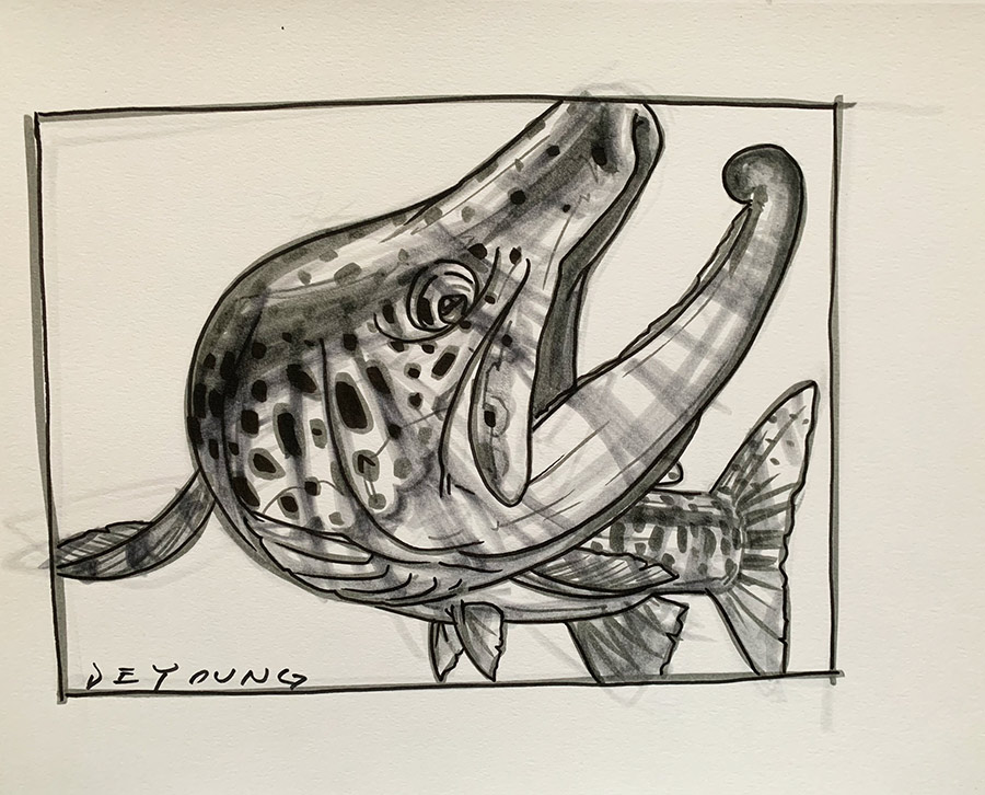 Brown Trout Turning | Derek DeYoung