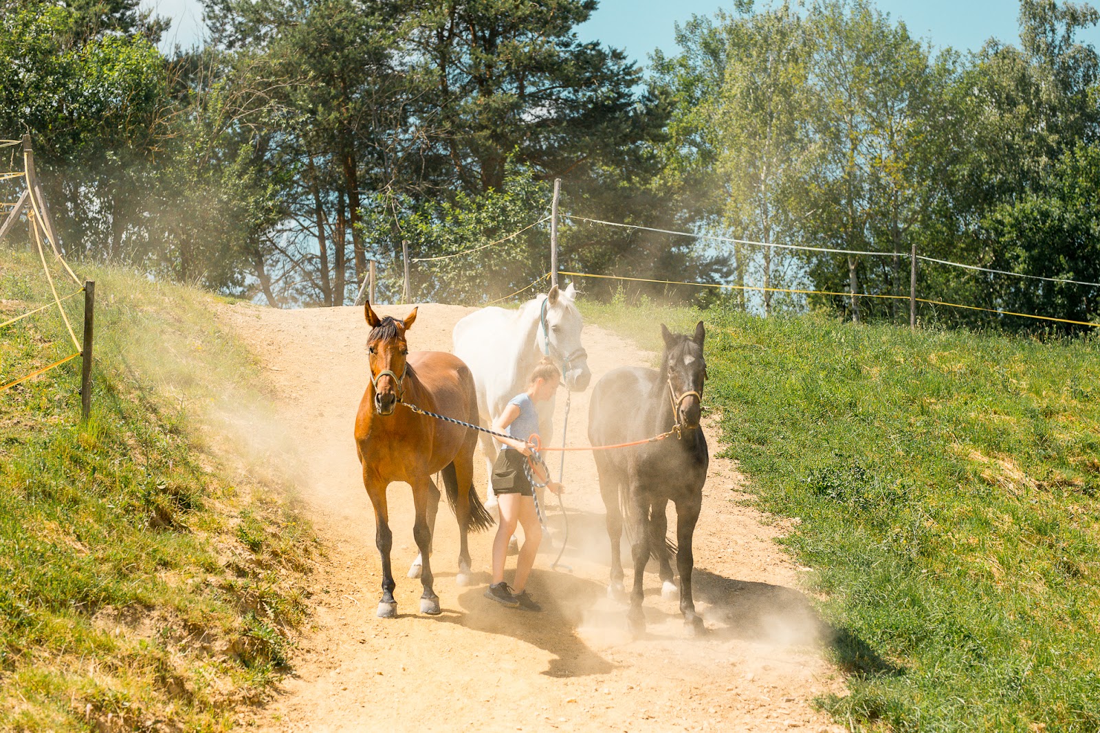 Jazdecký areál UVLF | Visit Košice