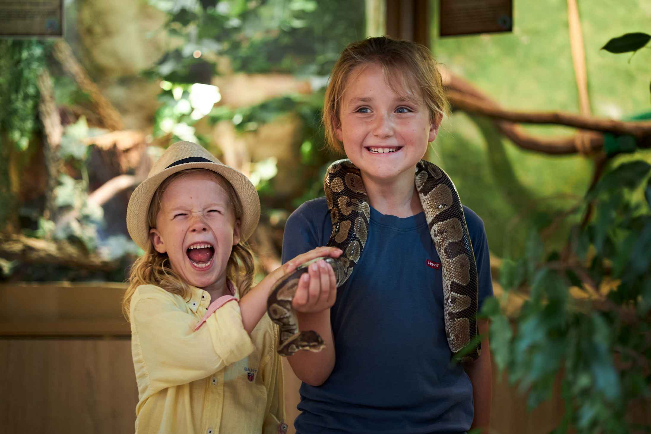 Košice ZOO | Visit Košice