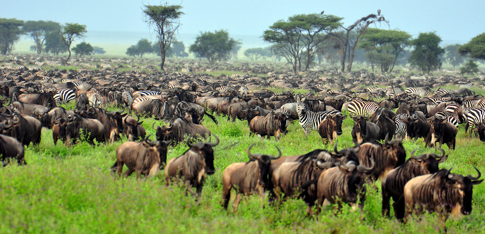 5 Shortest Kenya Safari All-Inclusive Packages