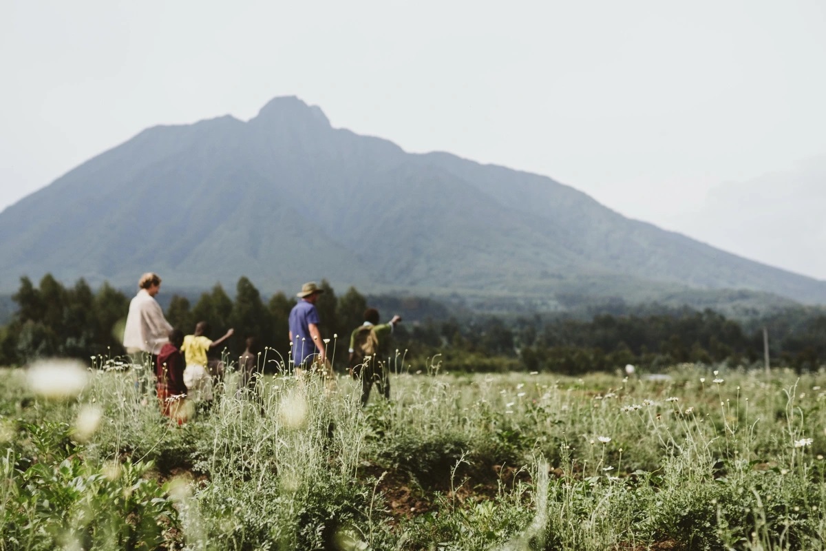 The Best Rwanda Family Safari Packages