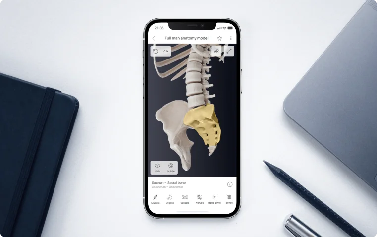 VOKA 3D Anatomy & Pathology