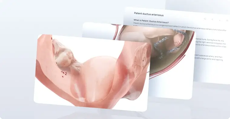 Interaktive 3D-Modelle der Anatomie von VOKA Anatomy & Pathology