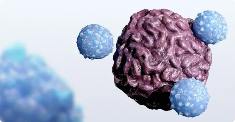 Modelos anatómicos 3D interactivos de VOKA Anatomy & Pathology