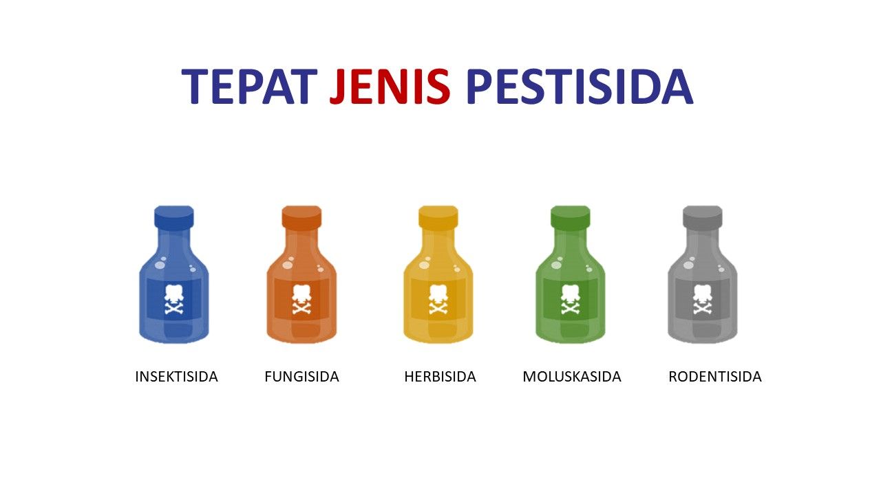 6 Tepat Penggunaan Pestisida Pertanian