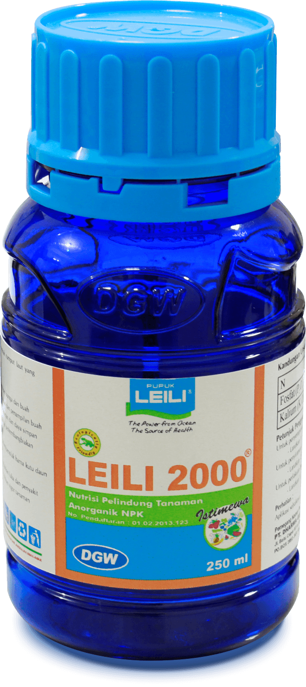 Petani Kentang Tanah Karo Akui Keungggulan Nutrisi Tanaman