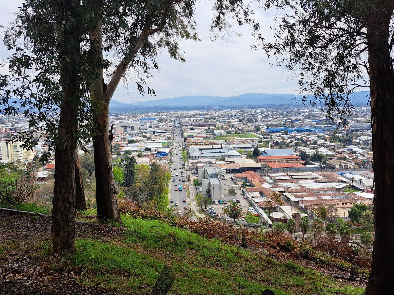 Tradicional paseo en este 19: Conozca las nuevas condiciones para ...