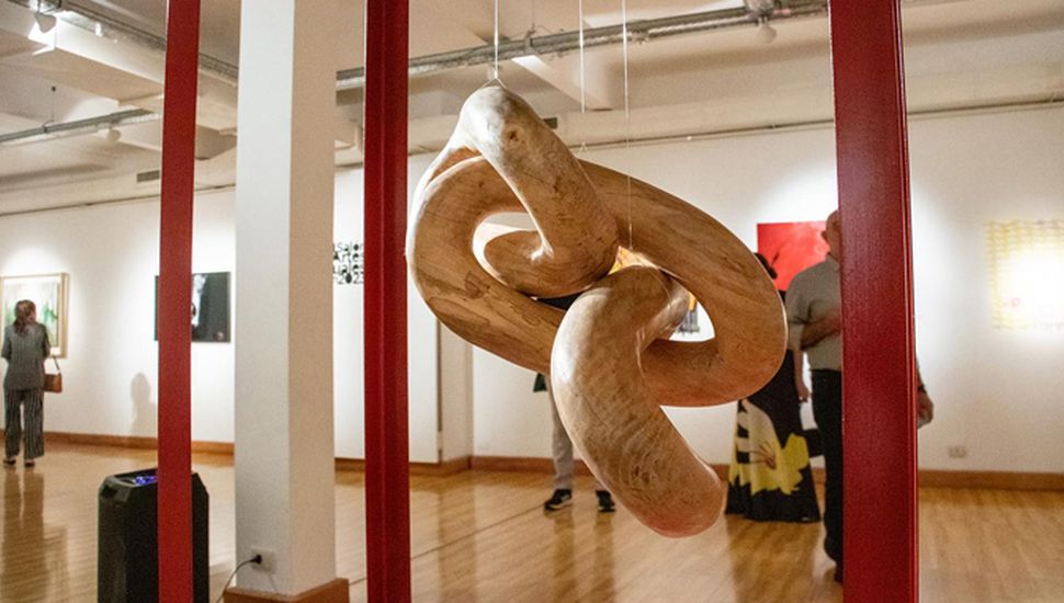 Invitan a visitar el Salón de Artes Visuales en el MACA • Diario Democracia