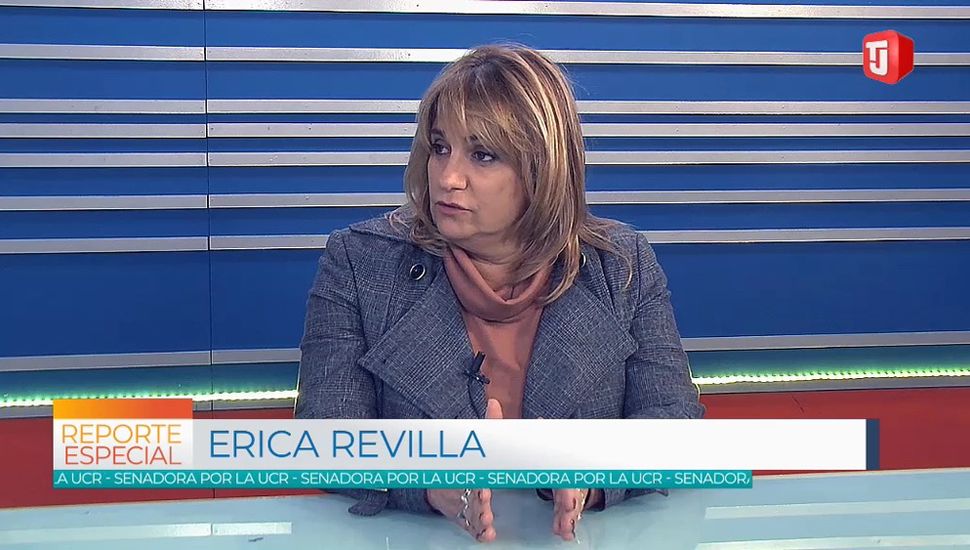 Entrevista con Érica Revilla • Diario Democracia