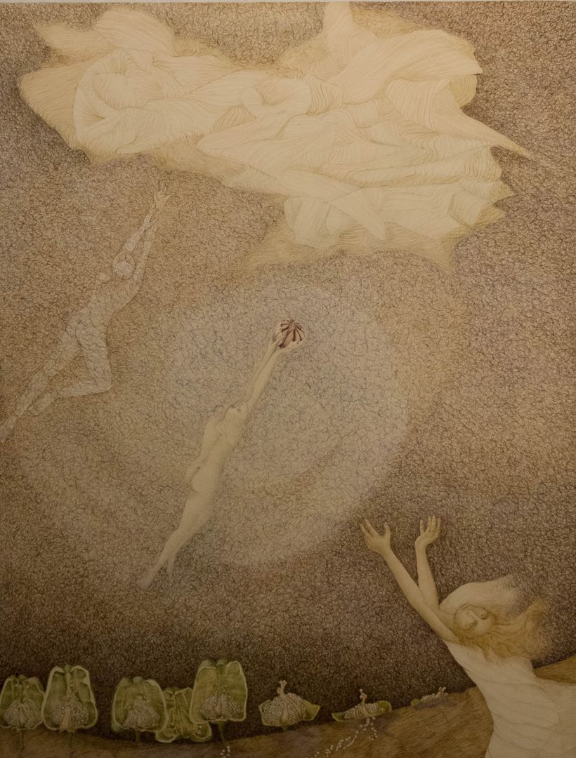 Quién fue Rodolfo Medina • Diario Democracia