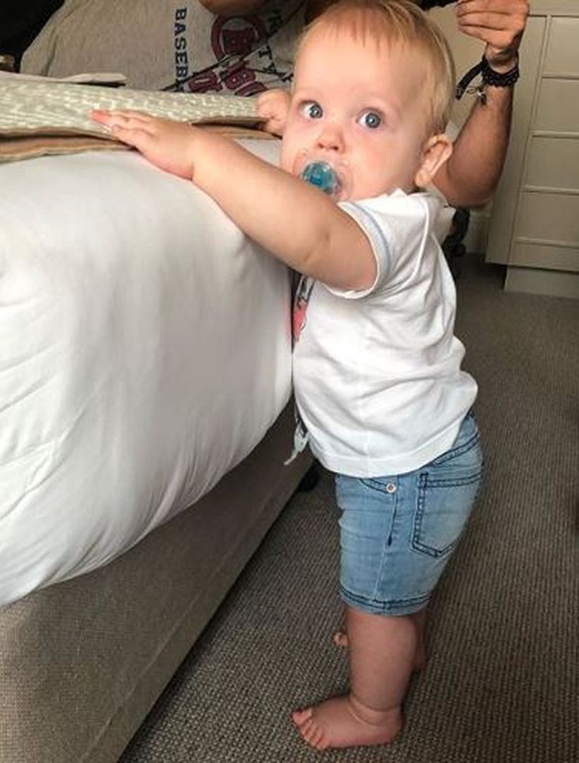 Mirko aprendió a caminar y el video es muy tierno • Diario Democracia