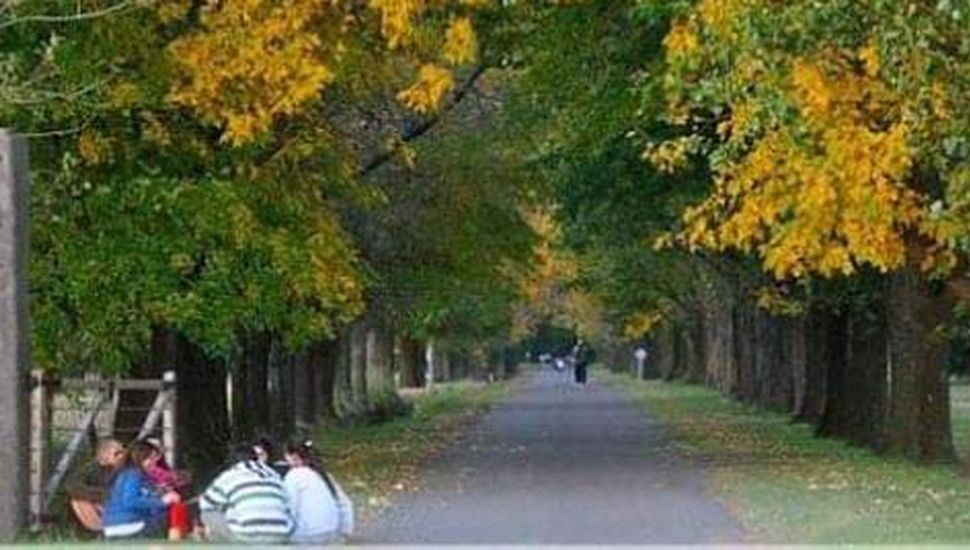 En Mariápolis, con distintas propuestas, se lleva a cabo la “Fiesta de ...