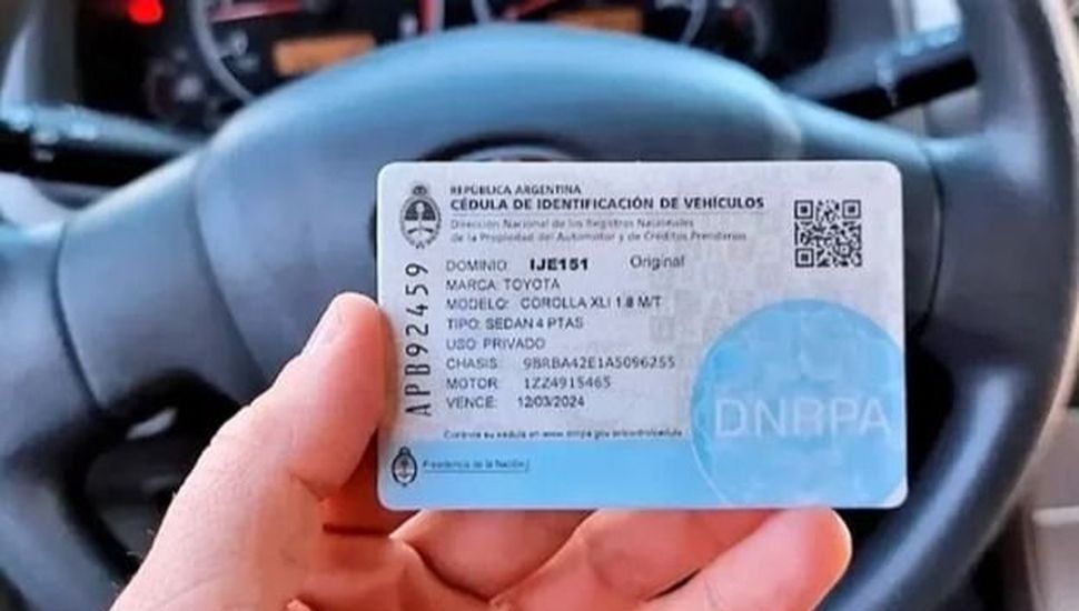 La Cédula Azul ya aparece en la app Mi Argentina: paso a paso, cómo ...