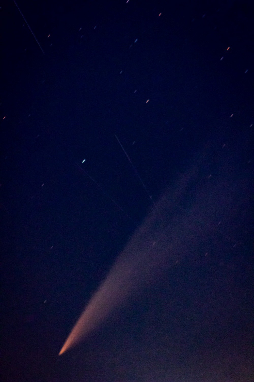 Un cometa captado en la Laguna