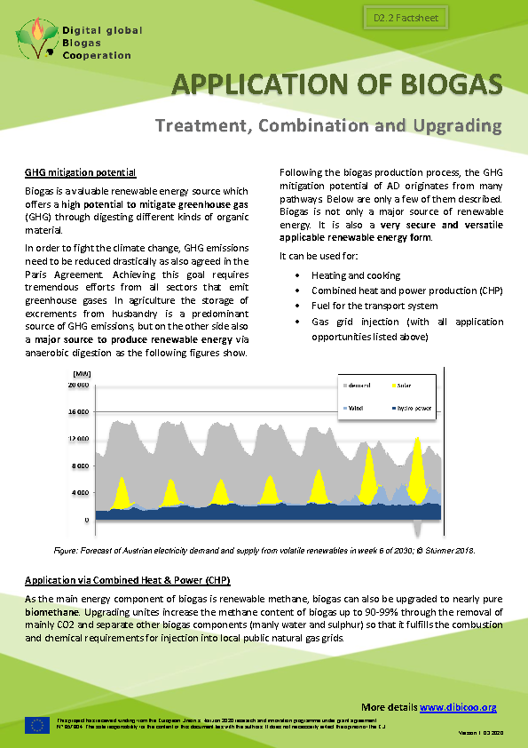 Biogas and Gasification Matchmaking Platform